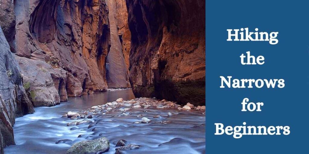 Hiking the Narrows for Beginners: Essential Tips & Guide